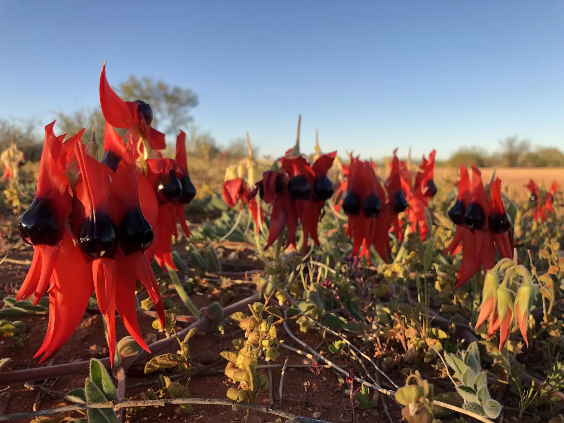 Friday 6th December 2024 | EMSA