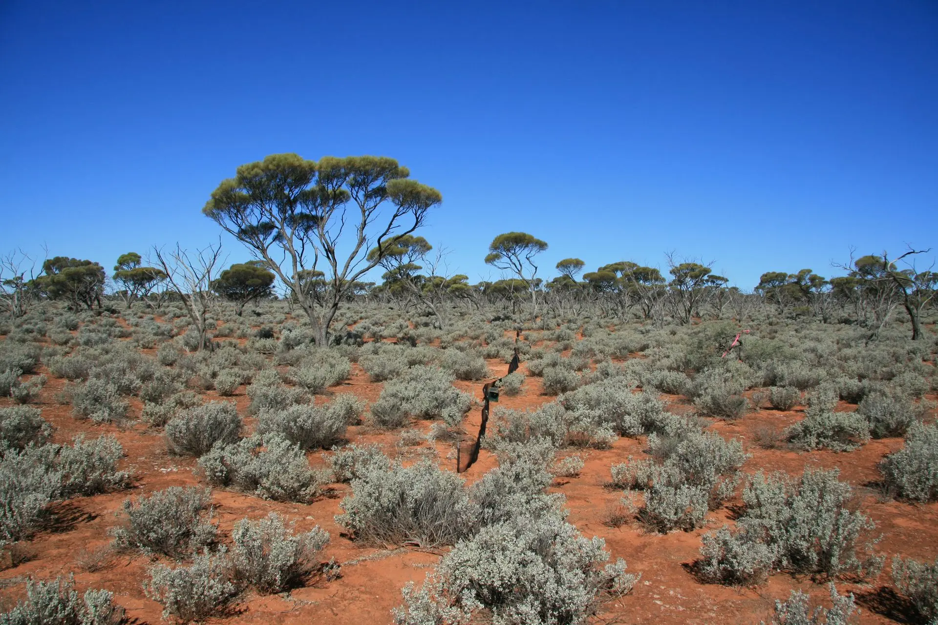 Friday 14th February 2025 | EMSA