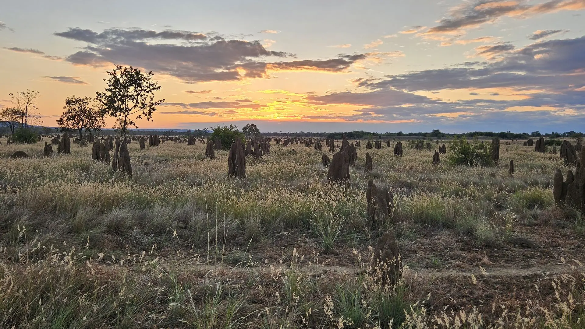 Friday 28th February 2025 | EMSA